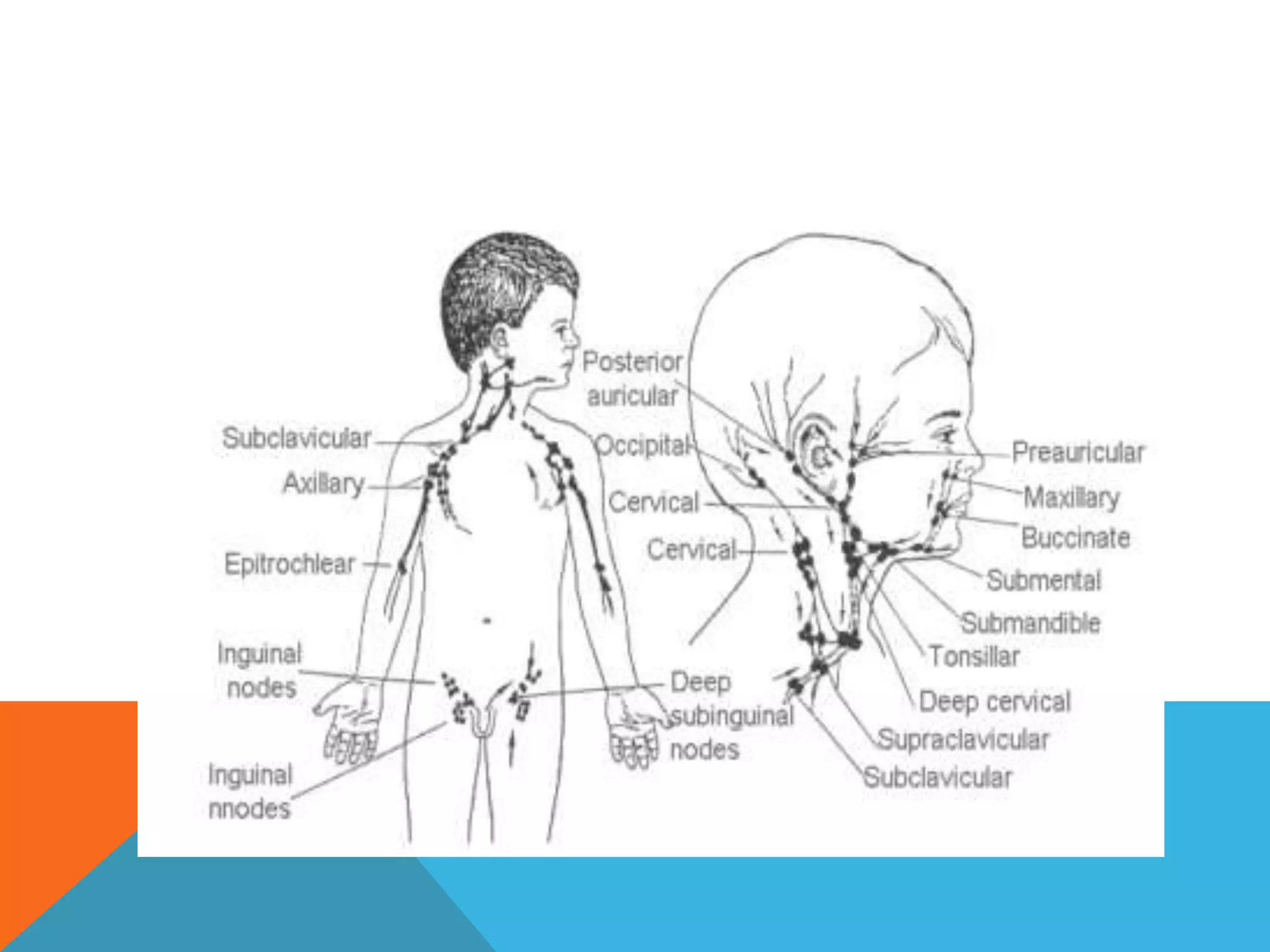 Approach in lymphadenopathy in children | PPTX