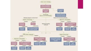 Approach LGIB | PPT | Free Download