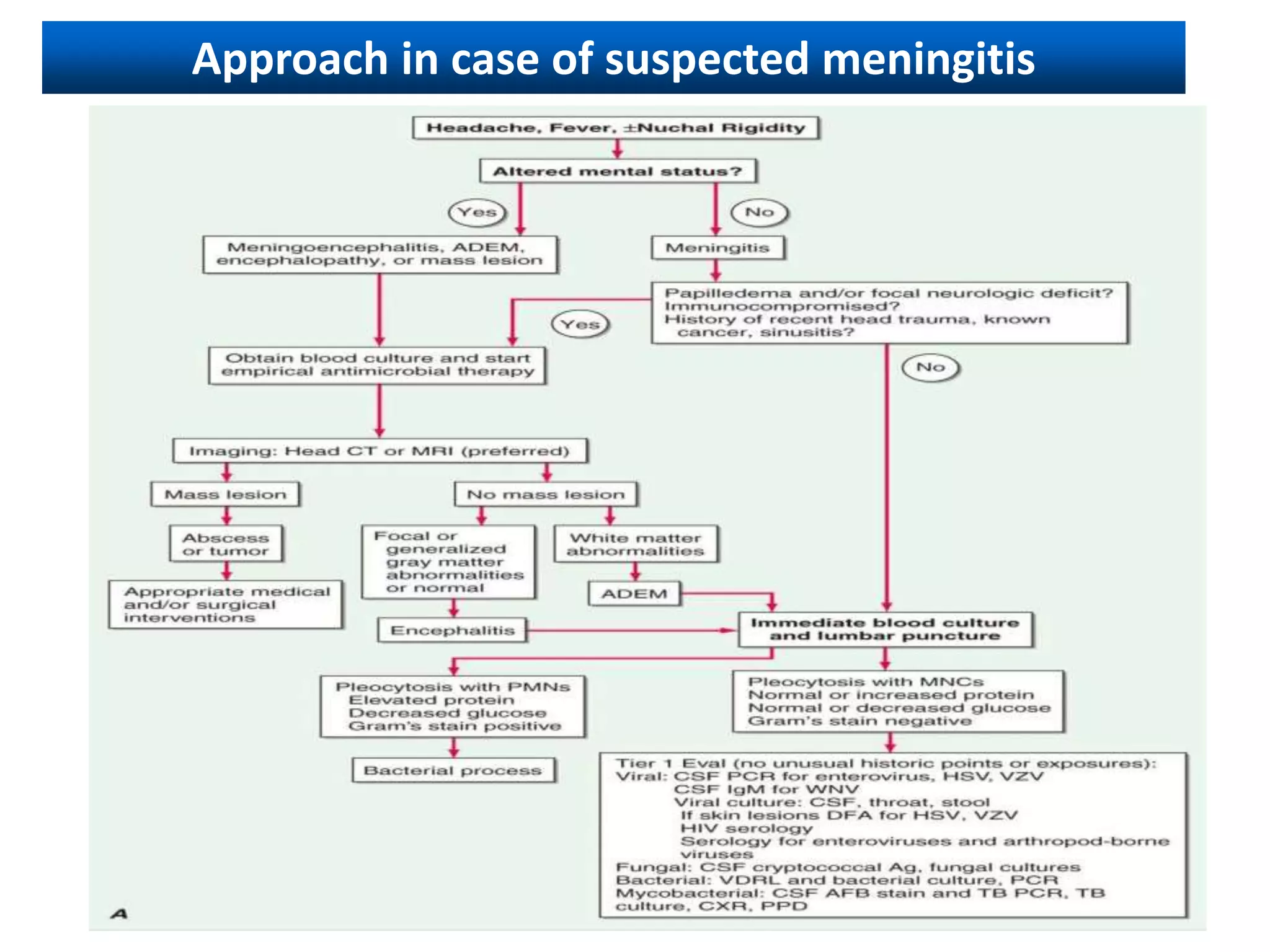 APPROACH OF MENINGITIS (1).pptx