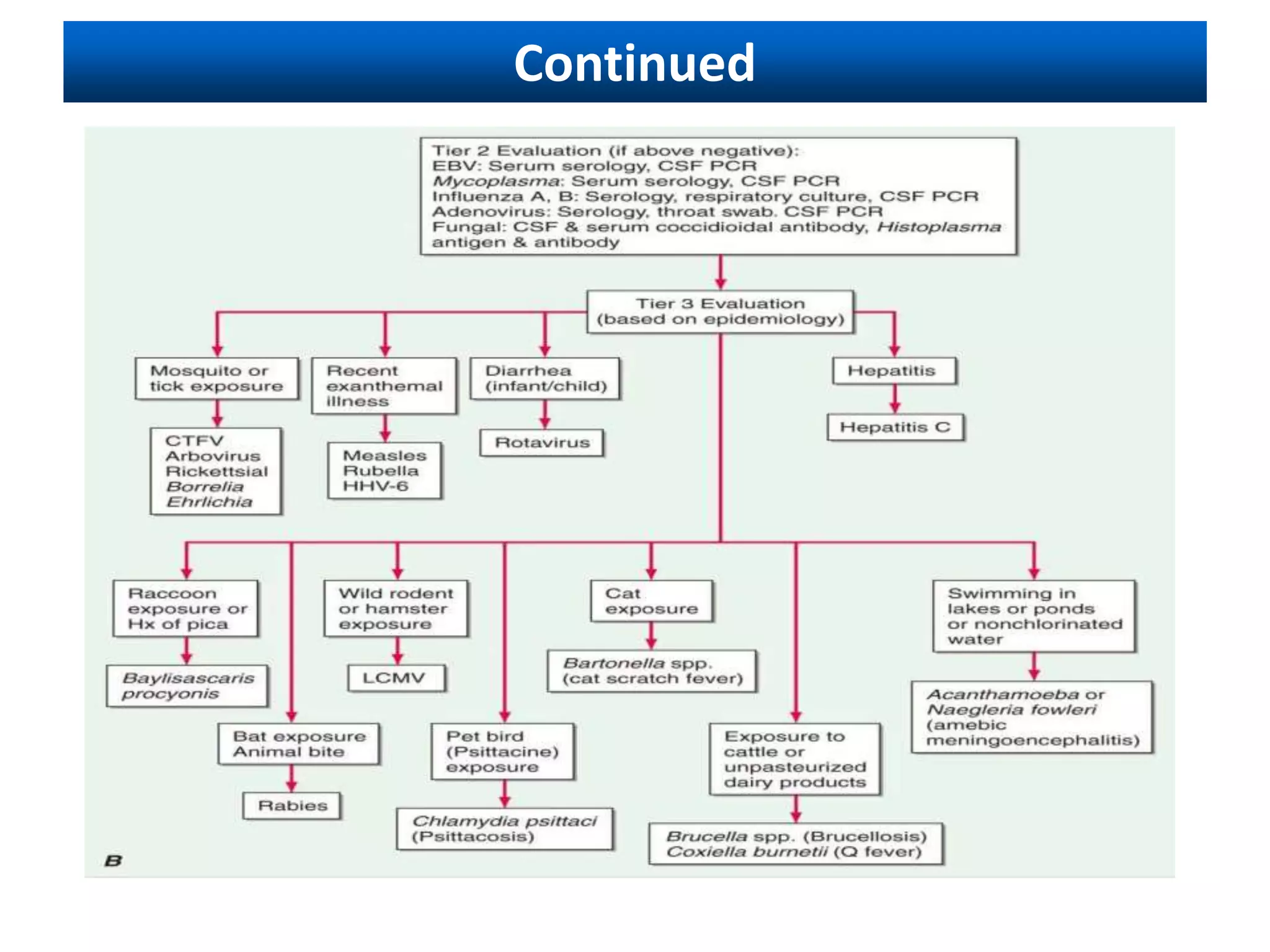 APPROACH OF MENINGITIS (1).pptx
