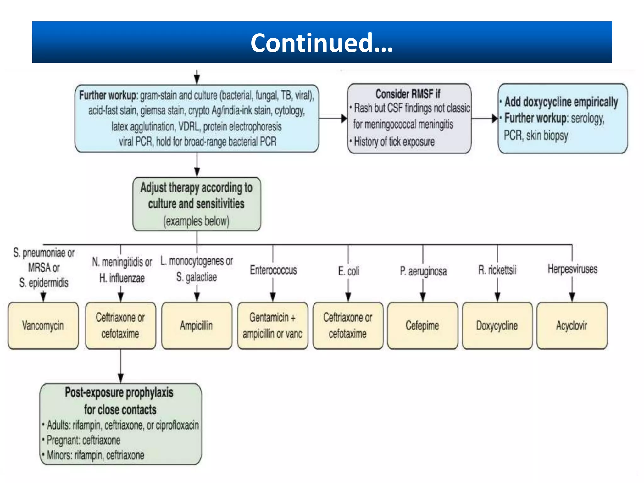 APPROACH OF MENINGITIS (1).pptx