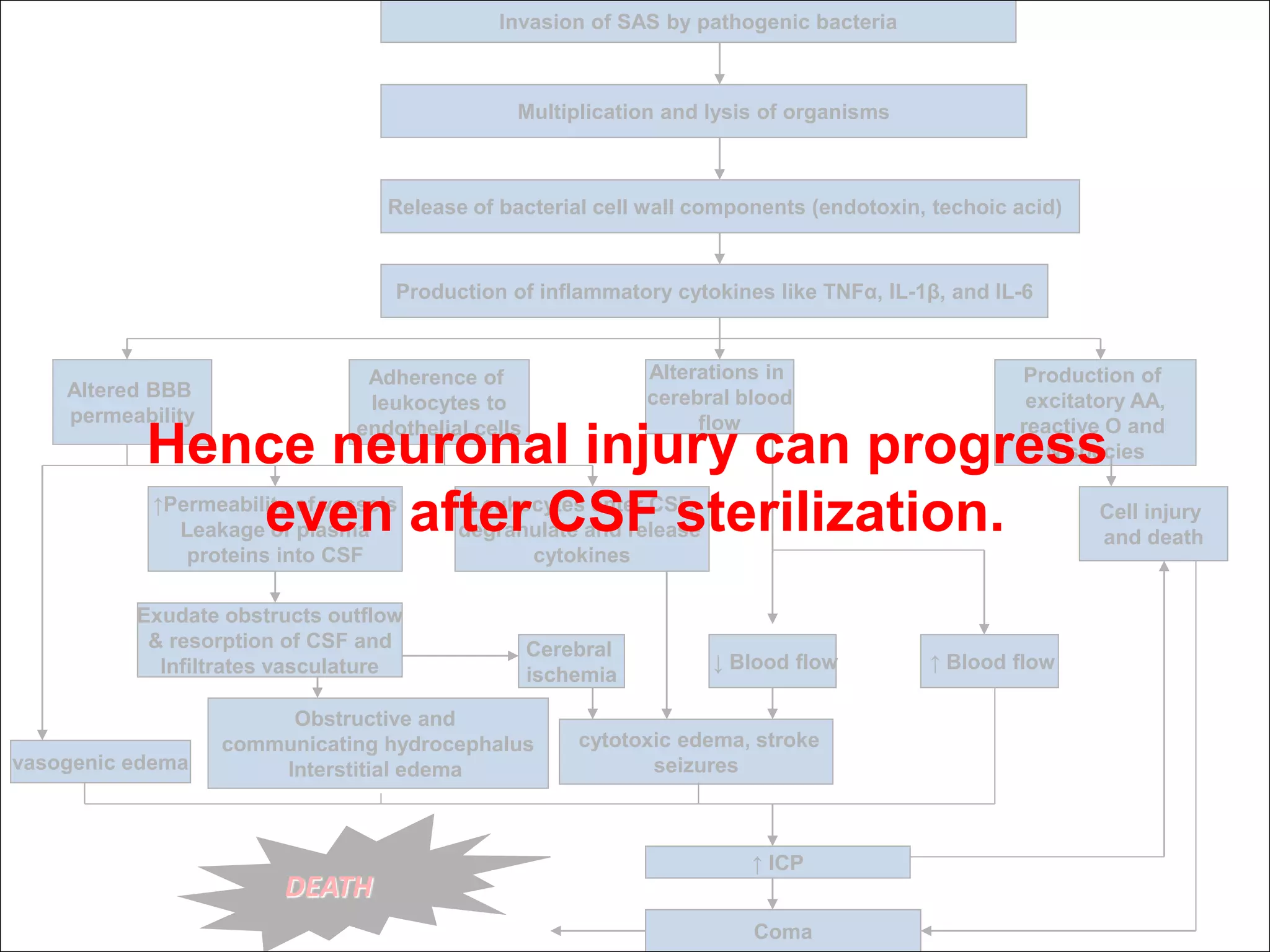 APPROACH OF MENINGITIS (1).pptx