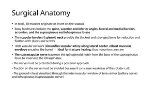 Approach Scapula in Orthopedic Field.pptx
