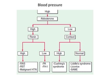 Hypokalemia Approach