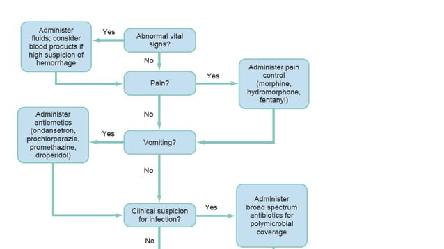 Approach to Acute Abdominal Pain (in emergency ward) | PPTX