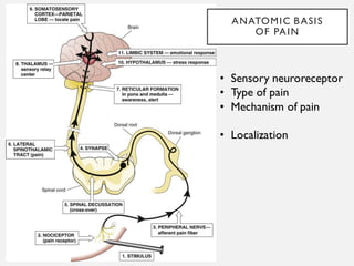 Approach to abdominal pain | PDF