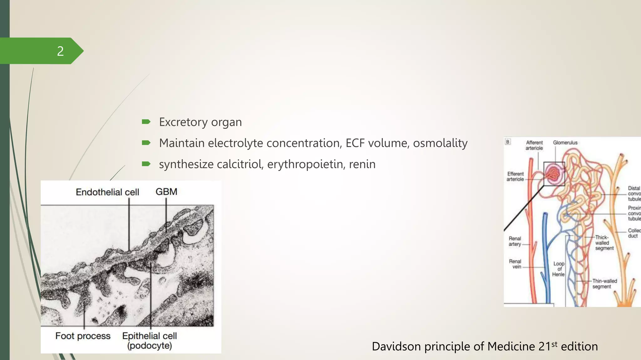Approach to abnormal RENAL FUNCTION TEST.pptx