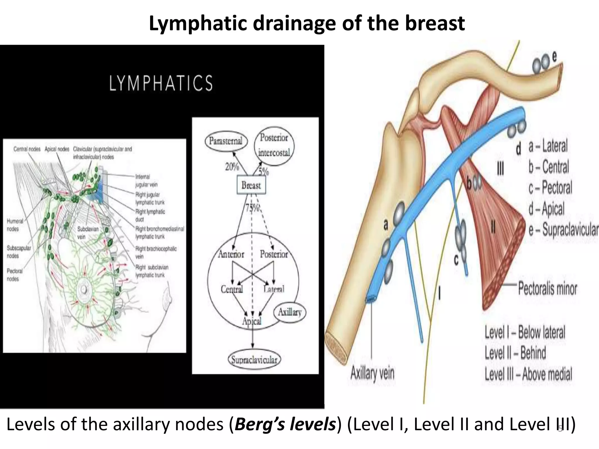 Approach to a breast lump (hari sedai; 1626) surgery presentation | PPTX