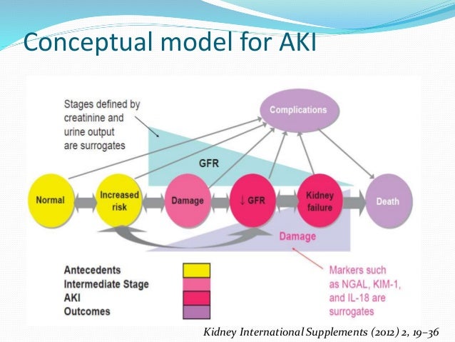 Approach to a case of aki