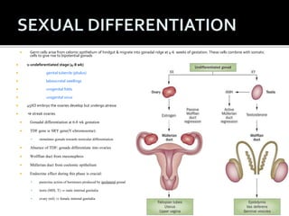 Approach to a case of ambiguous genitalia | PPTX