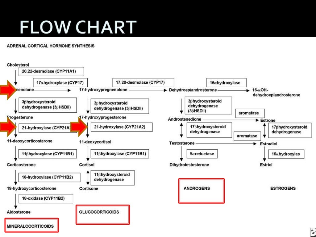 Approach to a case of ambiguous genitalia