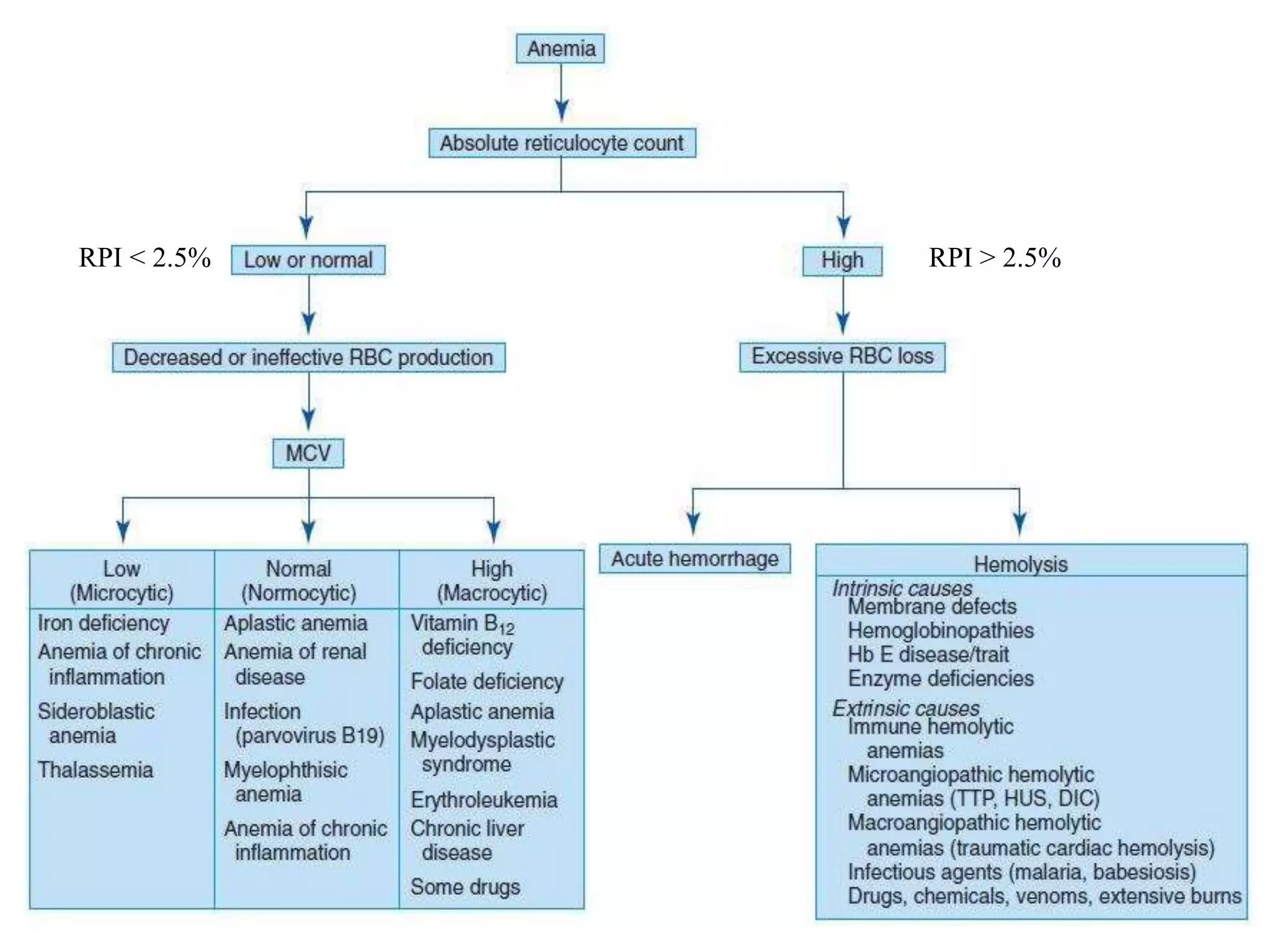 approach to anemia | PPTX