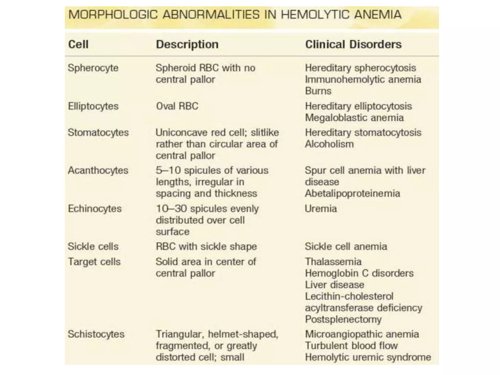approach to anemia | PPTX