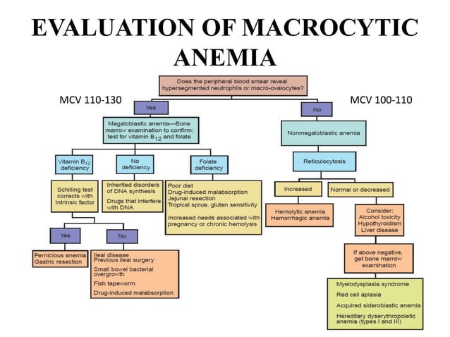 approach to anemia | PPTX