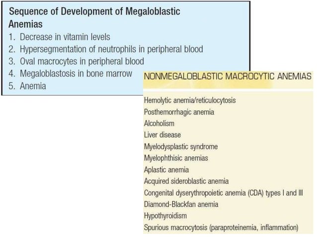 approach to anemia | PPTX