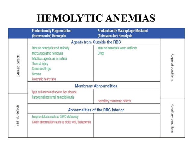 approach to anemia | PPTX