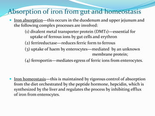 Approach to a case of iron defciency anaemia | PPTX