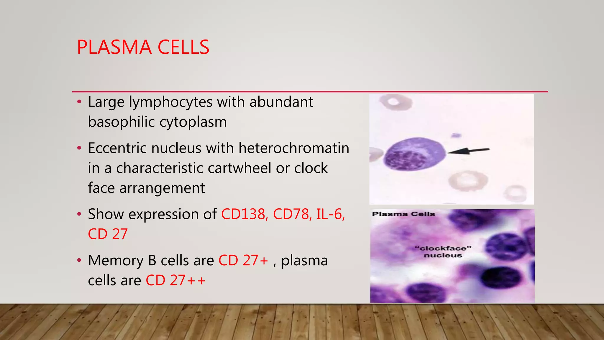 Approach to a case of lymphocytosis | PPTX