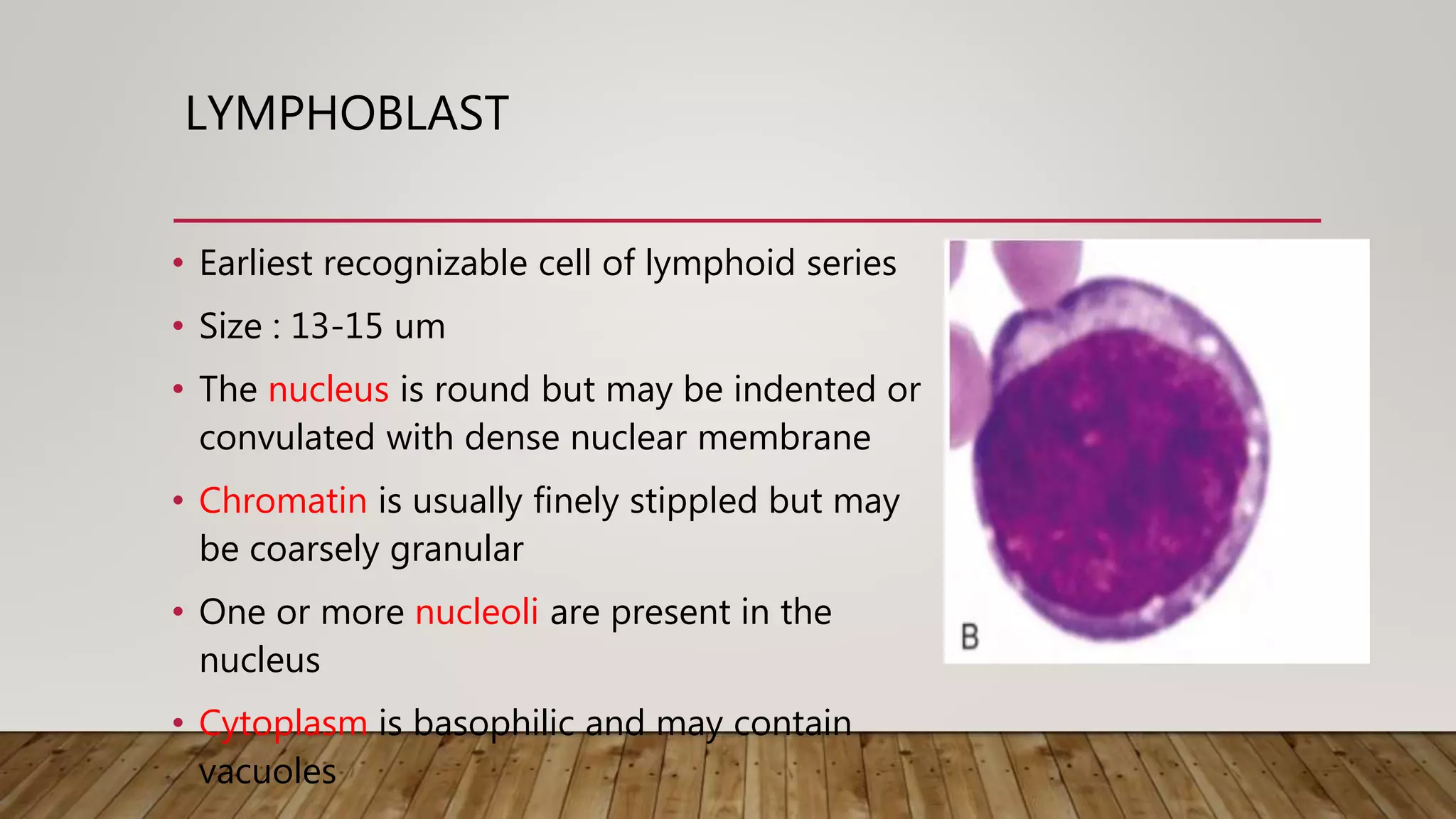 Approach to a case of lymphocytosis | PPTX