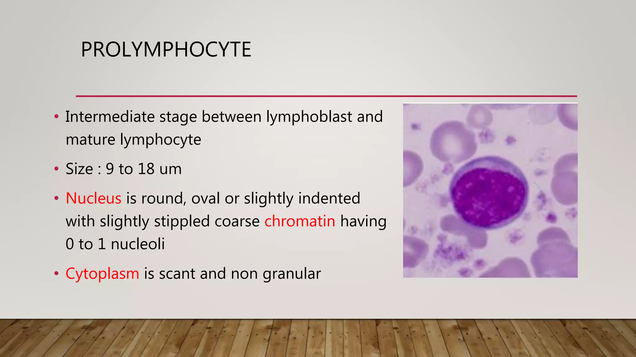 Approach to a case of lymphocytosis | PPTX
