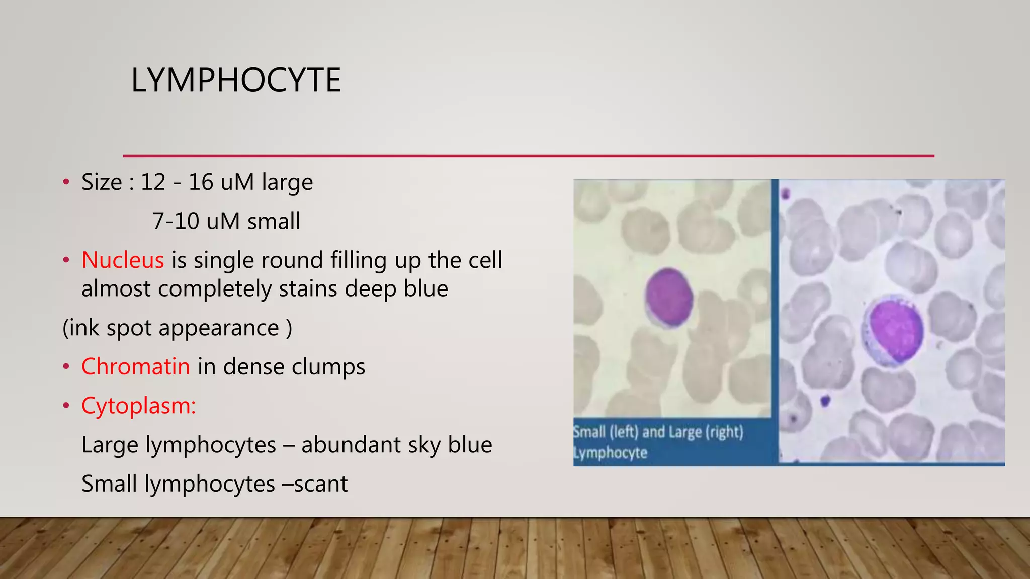 Approach to a case of lymphocytosis | PPTX