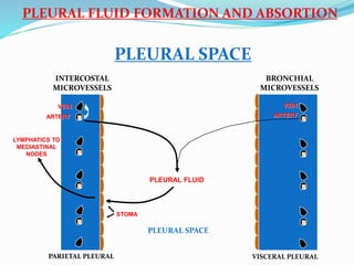 Approach to a case of pleural effusion | PPTX