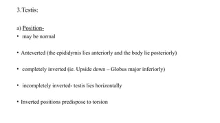 Approach to a case of scrotal Swellings clinical based | PPTX
