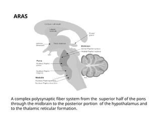 Approach to a Child in Coma2006 (2).pptx