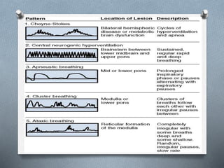 Approach to a child with coma | PPTX | Lung and Respiratory Health ...