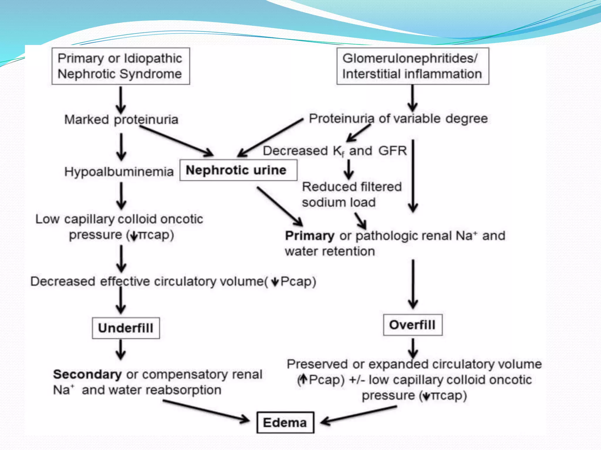 Approach to a child with edema | PPTX