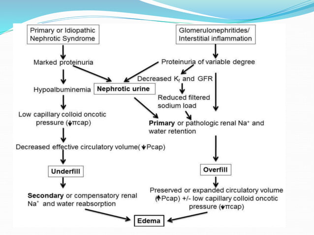 Approach to a child with edema | PPTX | Digestive Disorders | Diseases ...