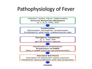 Systematic Approach to a Child with Fever | PPT