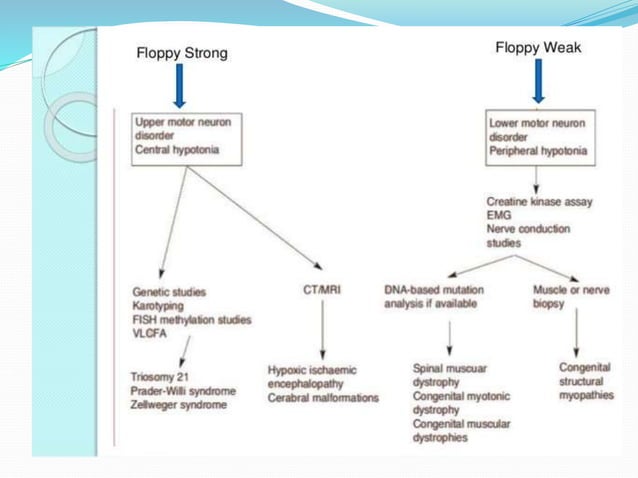 Approach to a child with hypotonia | PPTX | Pregnancy | Reproductive Health