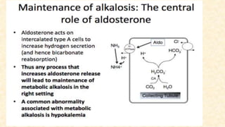 APPROACH TO ACID-BASE DISORDERS Illustration.pptx | Blood Disorders ...