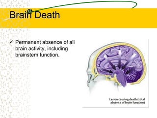 Approach to a comatose child | PPTX