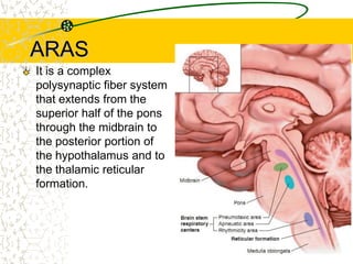 Approach to a comatose child | PPTX