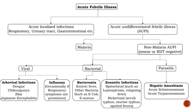 APPROACH TO ACUTE FEBRILE ILLNESS- DIAGNOSIS AND MANAGEMENT | PPTX ...