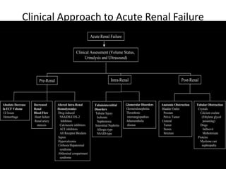 Approach to Acute renal failure.ppt