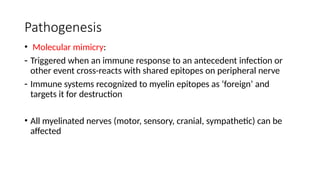 Approach to Acute inflammatory demyelinating polyneuropathyIDP or CIDP.pptx
