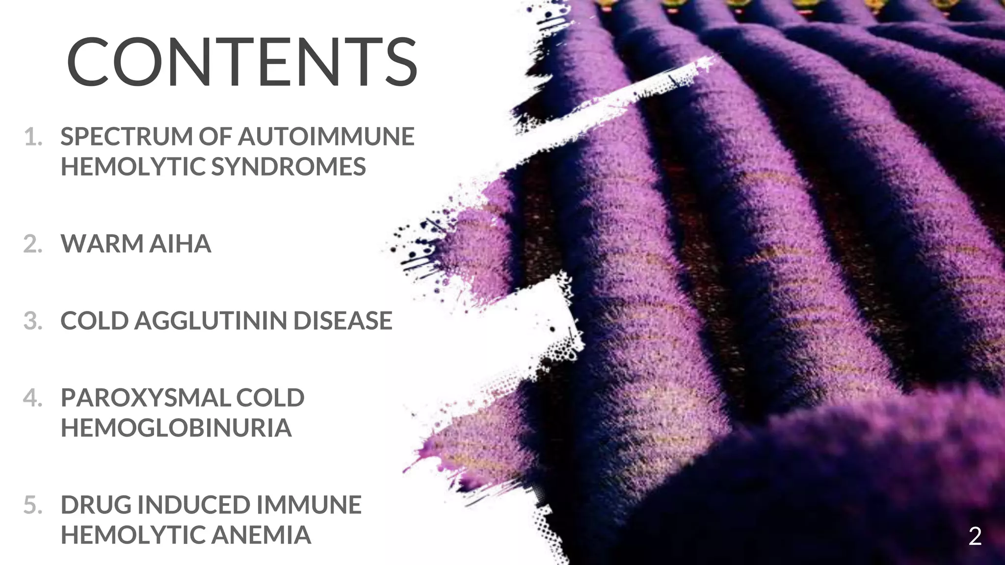 Approach to Autoimmune Hemolytic Anemia | PPTX | Blood Disorders ...