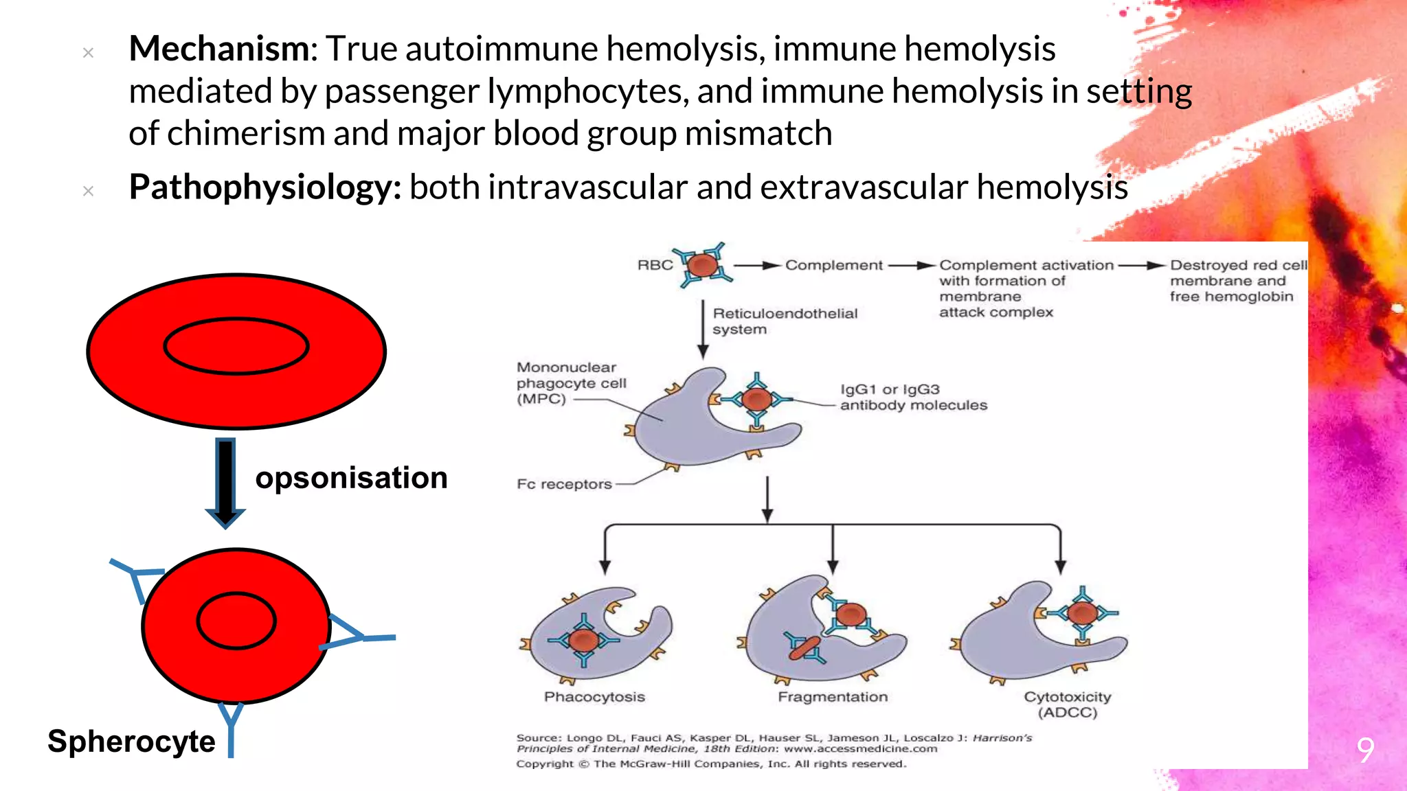 Approach to Autoimmune Hemolytic Anemia | PPTX