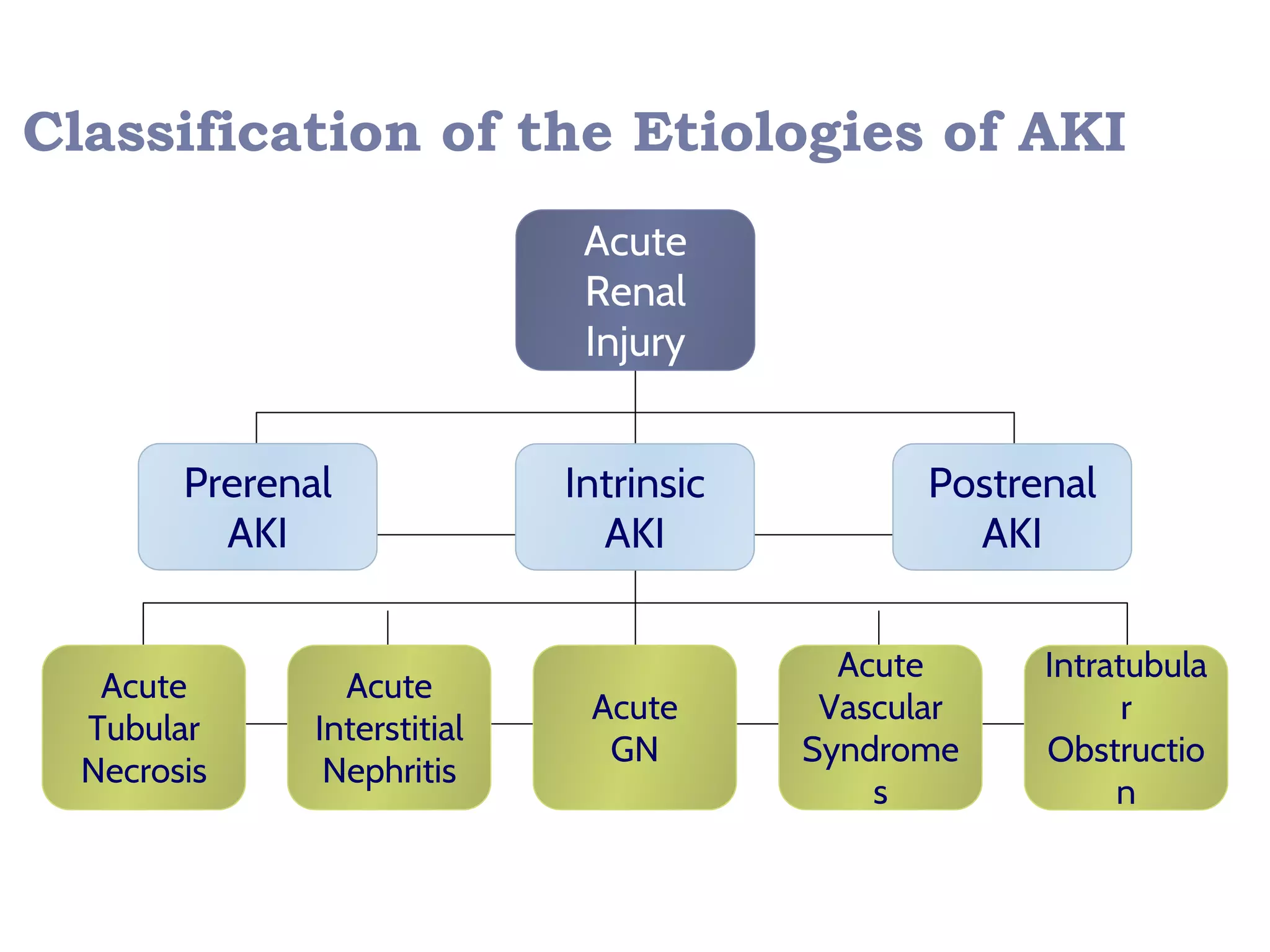 Approach to aki | PDF