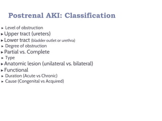 Approach to aki | PDF