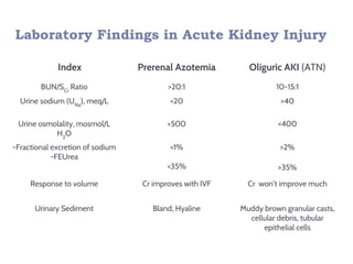 Approach to aki | PDF