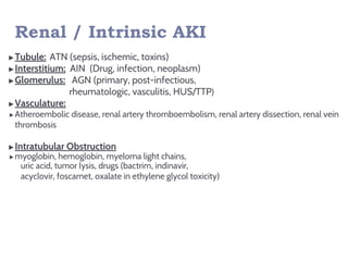 Approach to aki | PDF