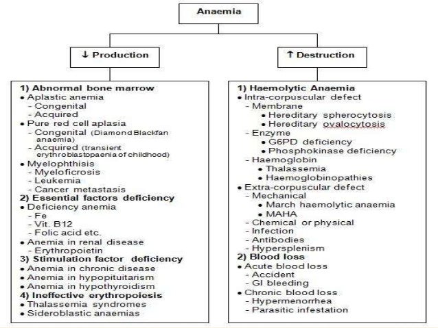 Approach to anaemia