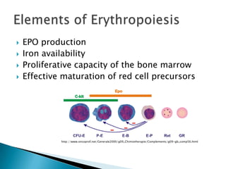 Approach to Anemia | PPTX