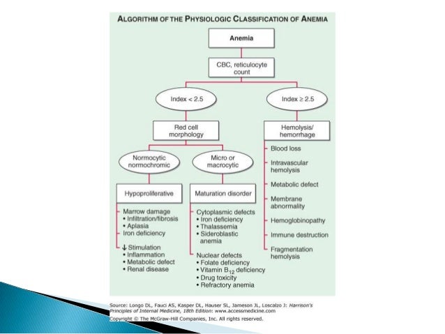 Approach to Anemia