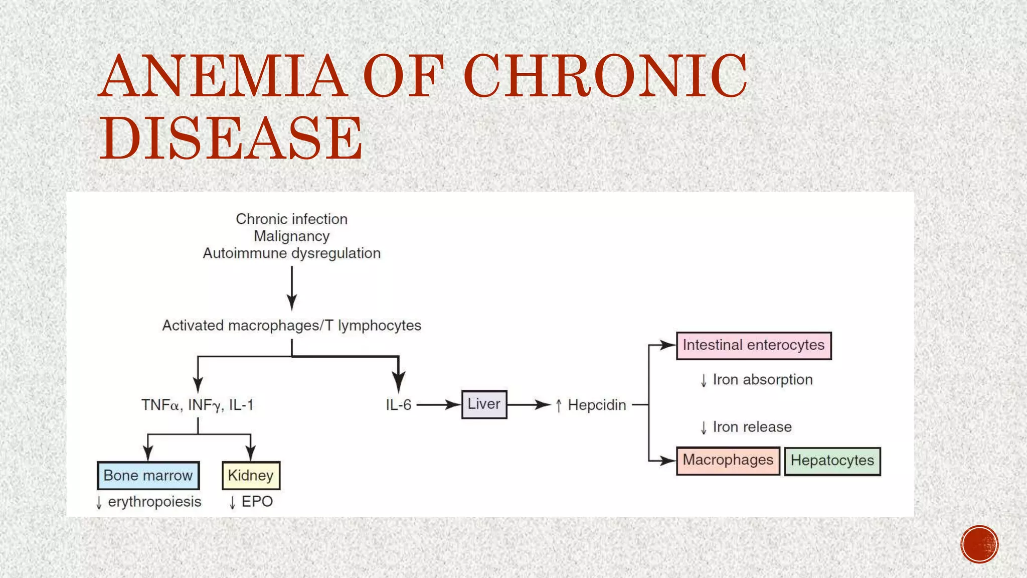 Approach to anemia | PPTX