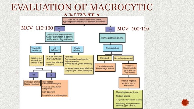 Approach to anemia | PPTX